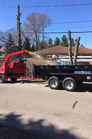 Tree Service Hudsonville, Michigan - My Tree Guy LLC