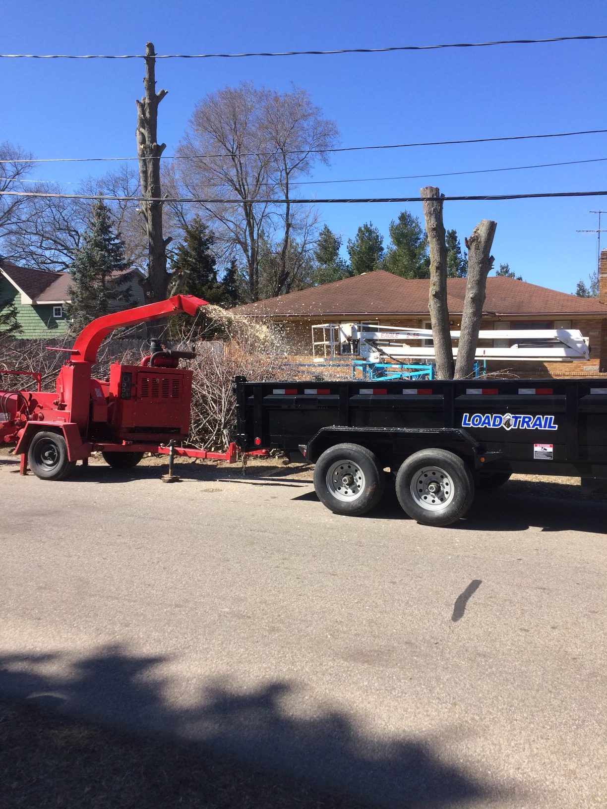 Chipping Service - My Tree Guy LLC