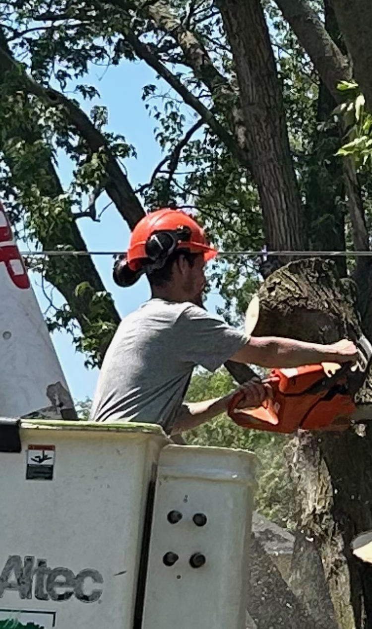 Crane Service - My Tree Guy LLC
