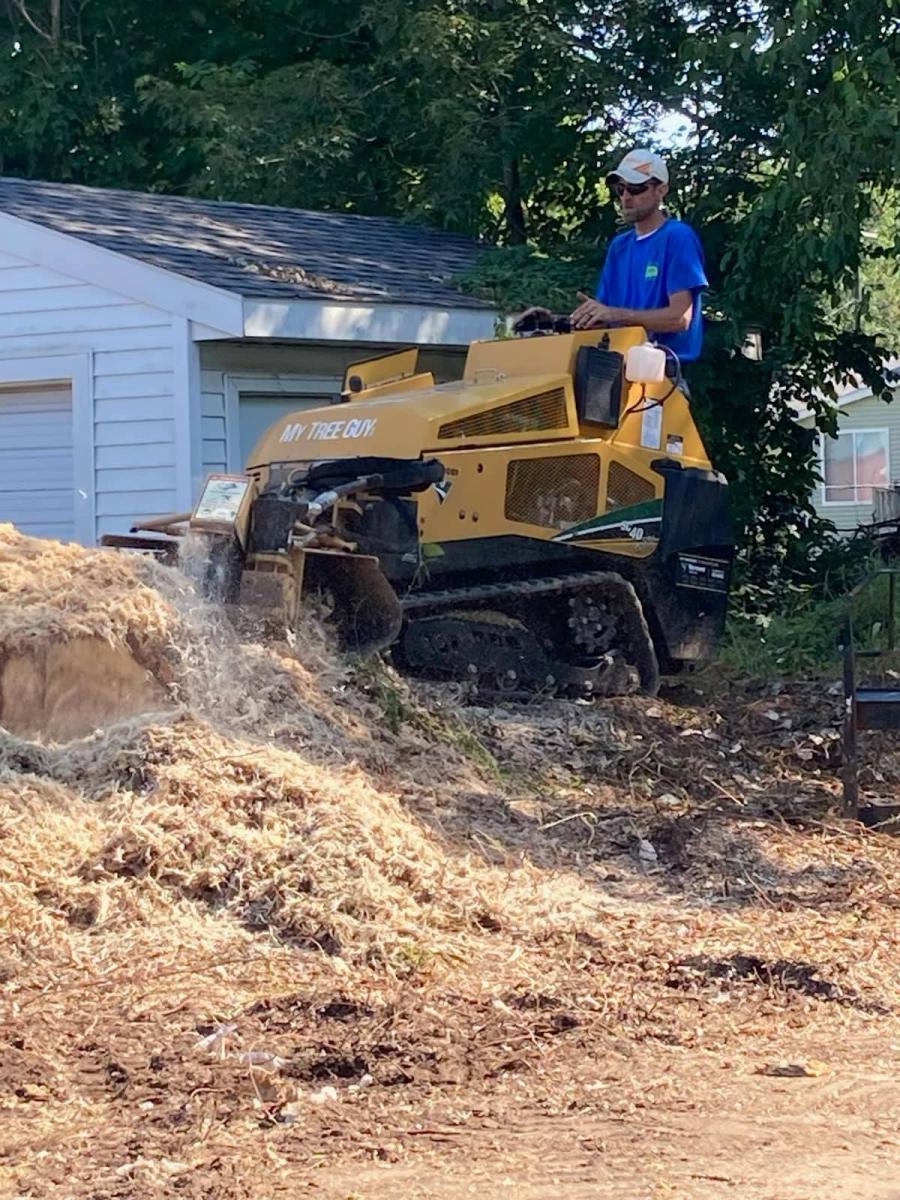 Tree Service Hudsonville, Michigan - My Tree Guy LLC