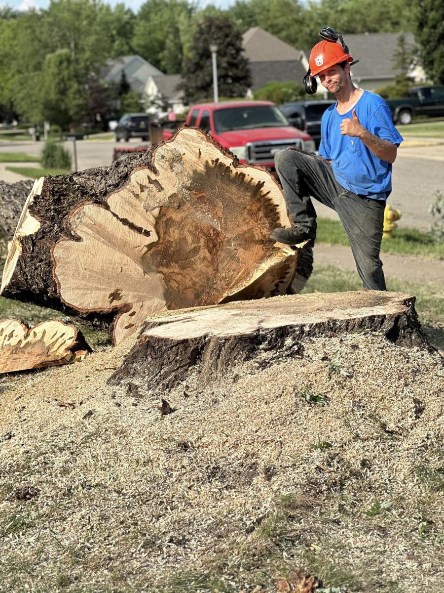 Tree Service Hudsonville, Michigan - My Tree Guy LLC