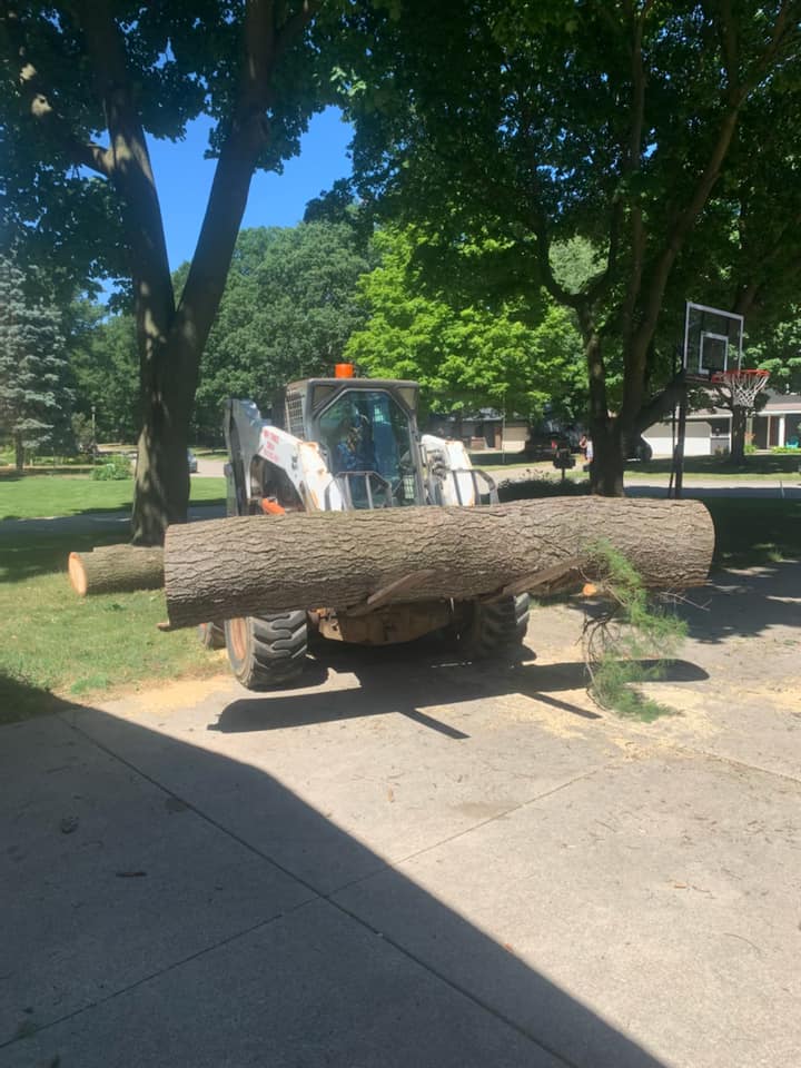 Tree Service Hudsonville, Michigan - My Tree Guy LLC