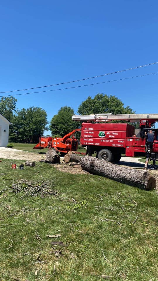 Tree Service Hudsonville, Michigan - My Tree Guy LLC